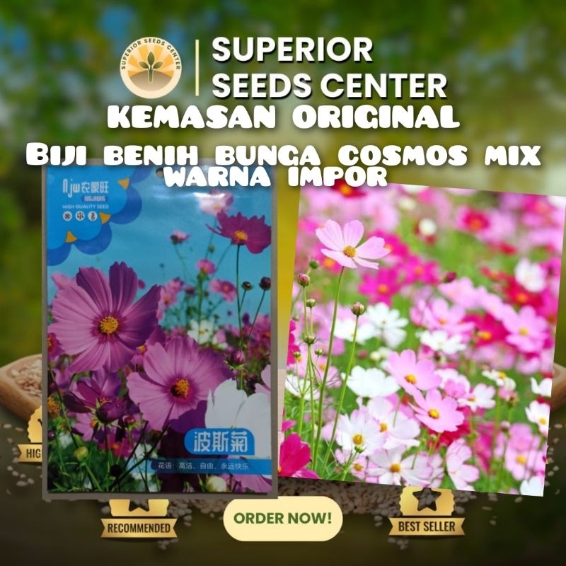 Jual KEMASAN ORIGINAL BIJI BENIH BUNGA COSMOS SENSATION MIX WARNA IMPOR ...