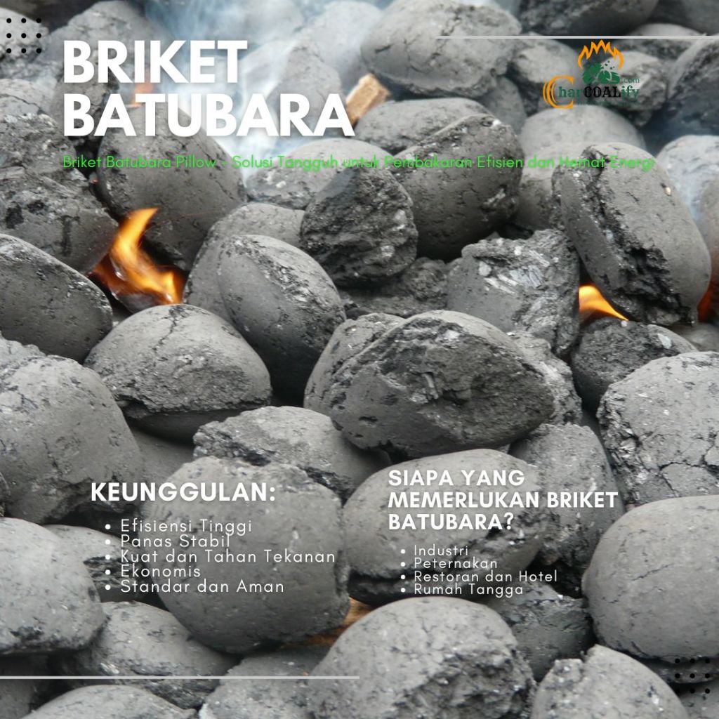 Jual Briket Batubara Efisiensi dan Hemat EnergI 4 Kg | Shopee Indonesia