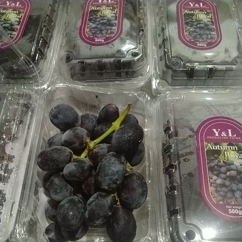 Jual Anggur Autumn pack 500 gr | Shopee Indonesia
