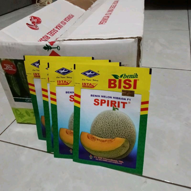 Jual Benih Bibit Melon Daging Orange Jumbo Bangkok Spirit F1 (Toleran ...