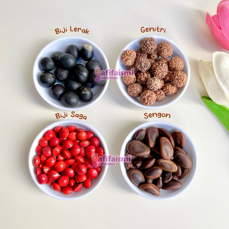 Jual Bahan Kolase Biji-bijian Biji Saga Genitri Biji lerak Sengon ...