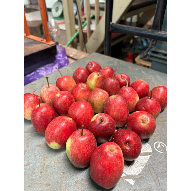 Jual Apel Ana Mini (1kg)/ Apel Malang Fresh | Shopee Indonesia