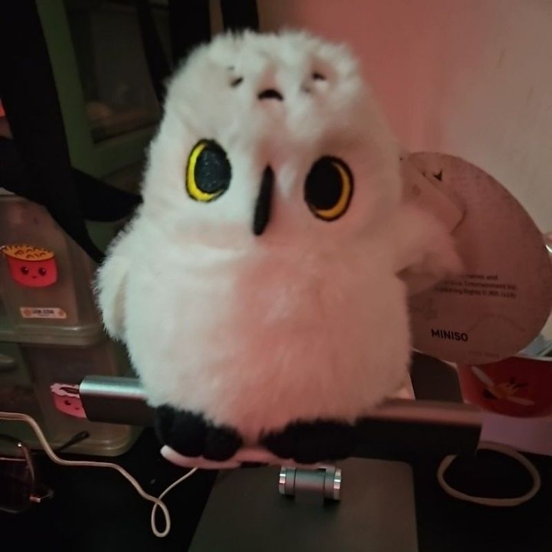Jual Miniso Hedwig Harry Potter | Shopee Indonesia