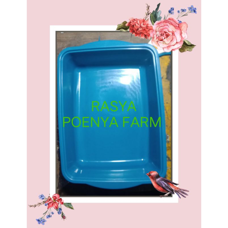 Jual BAK TAHU/BAK PERSEGI/BASKOM SERBAGUNA/bak pasir kucing | Shopee ...