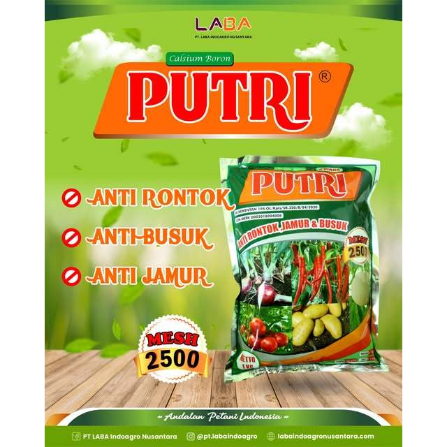 Jual Calsium Putri 2500 Mesh - 1 KG | Shopee Indonesia