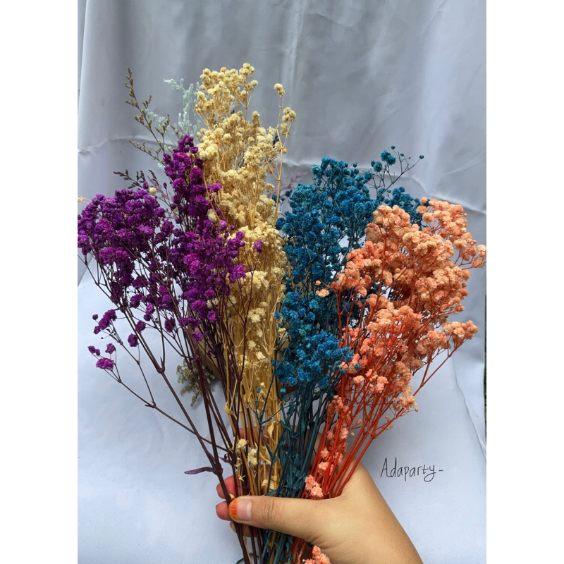 Jual Baby Breath / Dried Flower Awetan / Bunga Kering / Preserved Baby ...