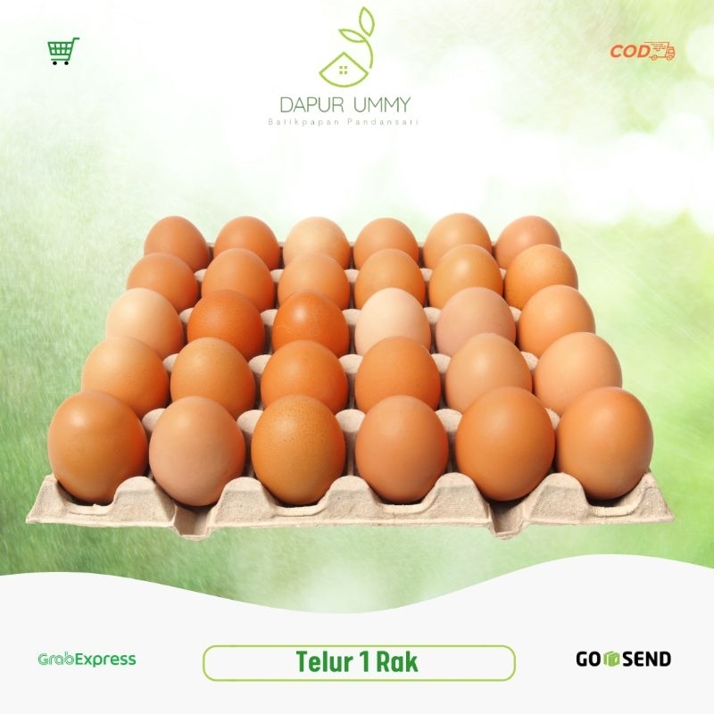 Jual Telur ayam Negri ukuran besar | ukuran Jumbo 30 butir | Shopee ...