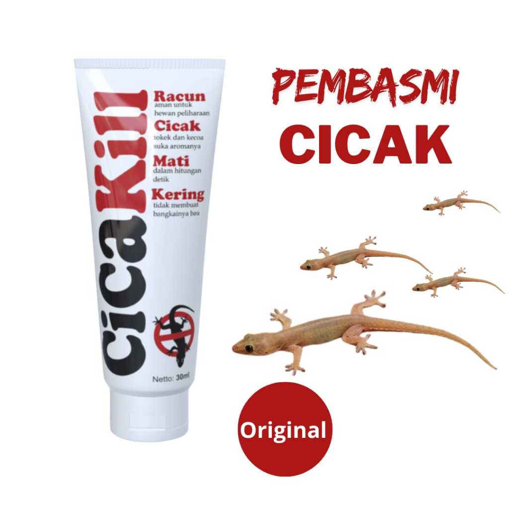 Jual Cicakill pengusir pembasmi cicak paling ampuh original mati dalam ...