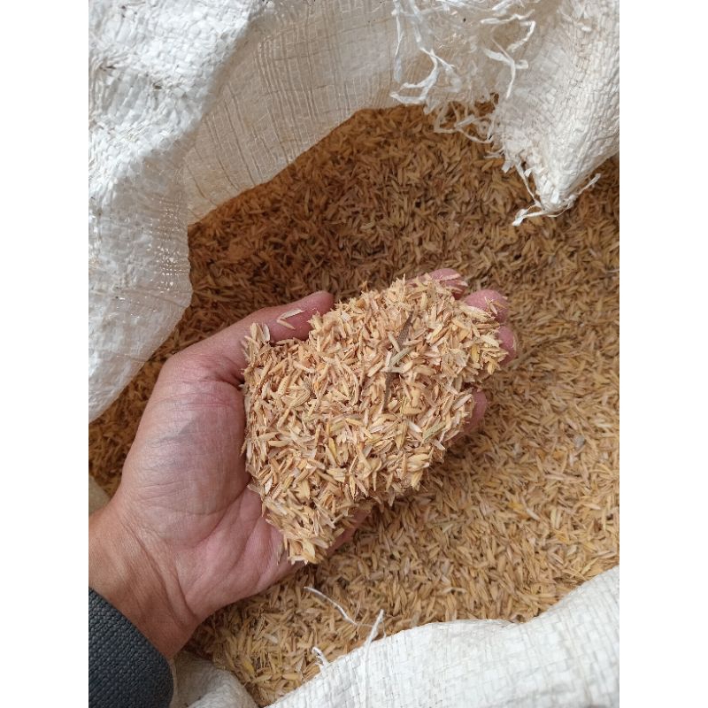 Jual sekam padi 500 gr | Shopee Indonesia