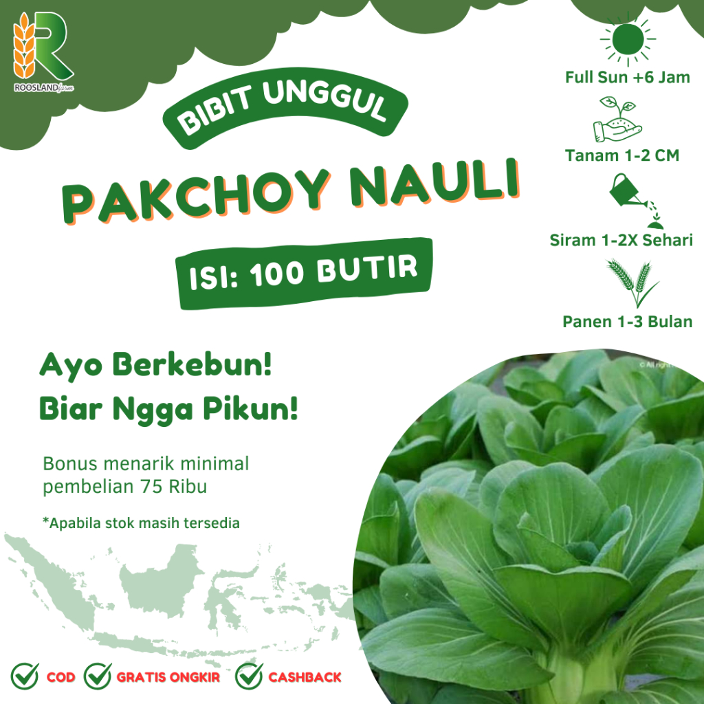 Jual BENIH PAKCHOY NAULI F1 REPACK (100 BUTIR) | Shopee Indonesia