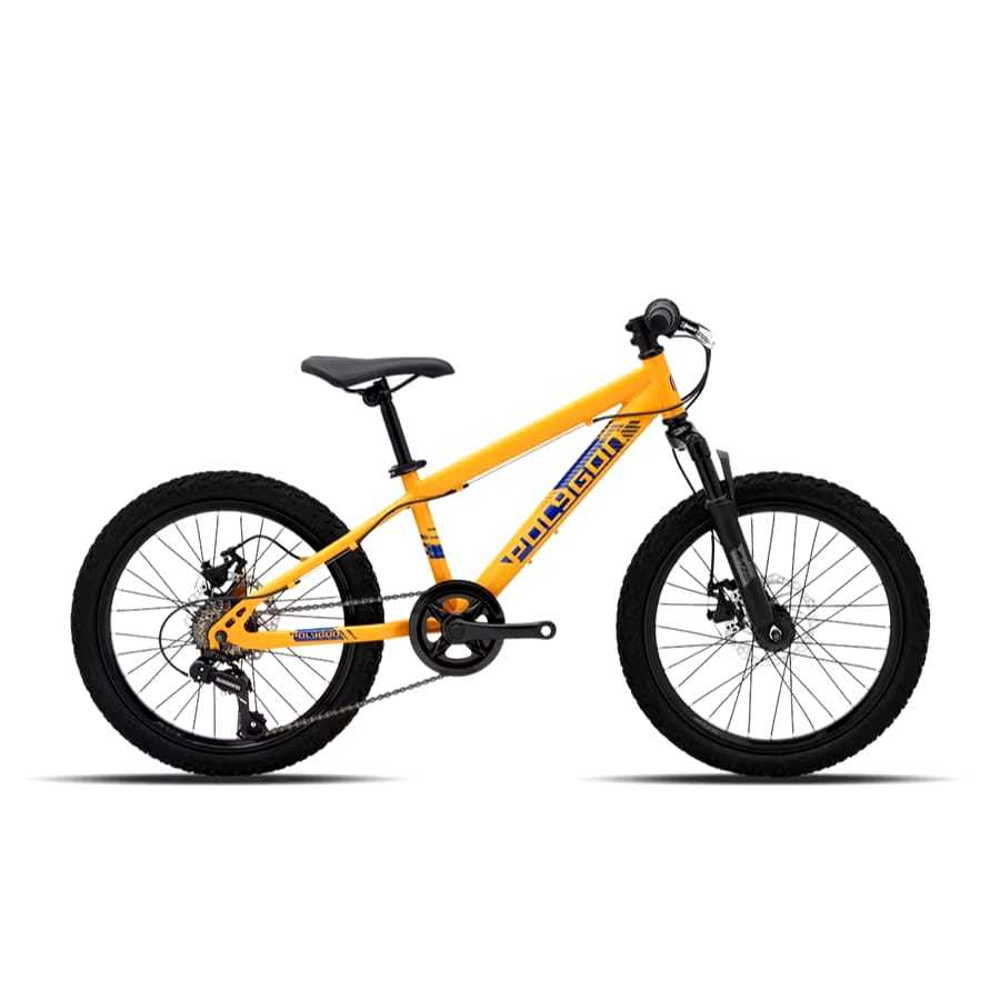 Jual MTB 20 Inch Polygon Maze M20 Sepeda Gunung Anak Polygon Maze ...