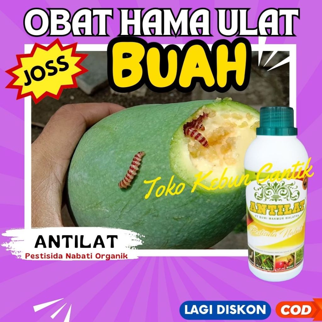Jual Insektisida Ulat ANTILAT 500ML – Obat Pembasmi Hama Ulat pada ...