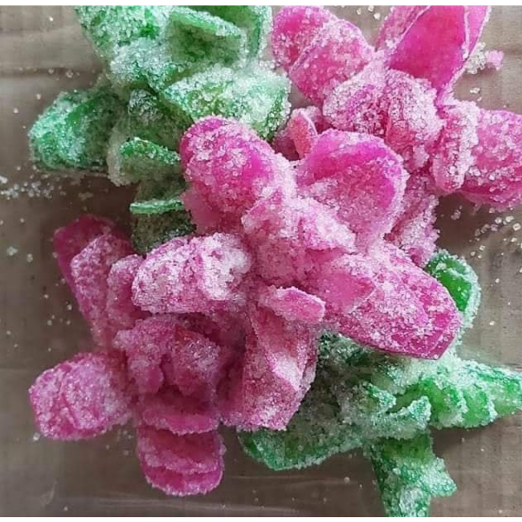 Jual Perkilo Manisan Pala Kering Khas Bogor | Shopee Indonesia