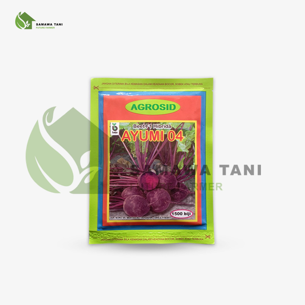 Jual Benih Bibit Bit Beet F1 Hibrida Ayumi 04 1500 biji | Shopee Indonesia