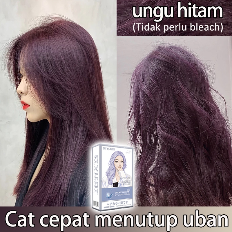 Jual 【Gratis hair mask dan alat cat】STYLE FIT Cat rambut ungu hitam ...