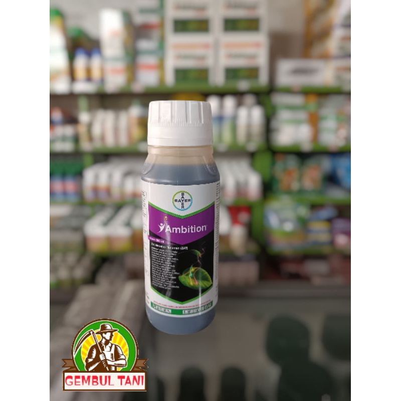 Jual ambition 500 ml | Shopee Indonesia