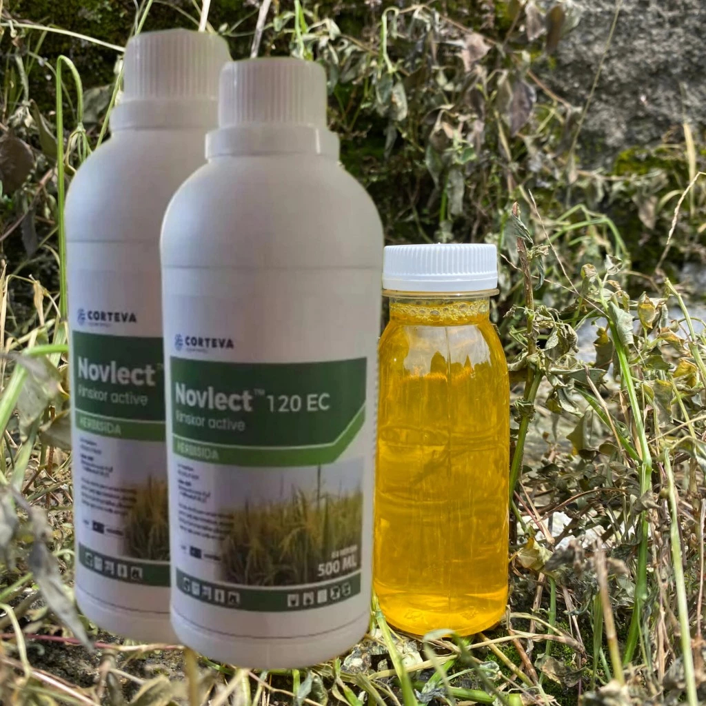 Jual [Beli3 Gratis1] Promo Herbisida Novlect 120EC pengendali bermacam ...
