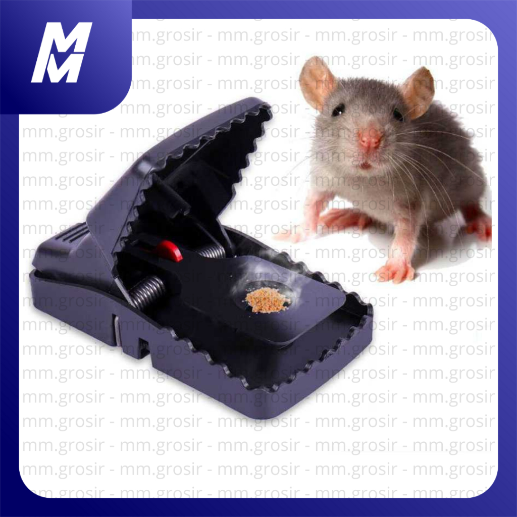Jual Perangkap Tikus Jepit Jebakan Penangkap Hewan Pengerat Alat Mouse ...
