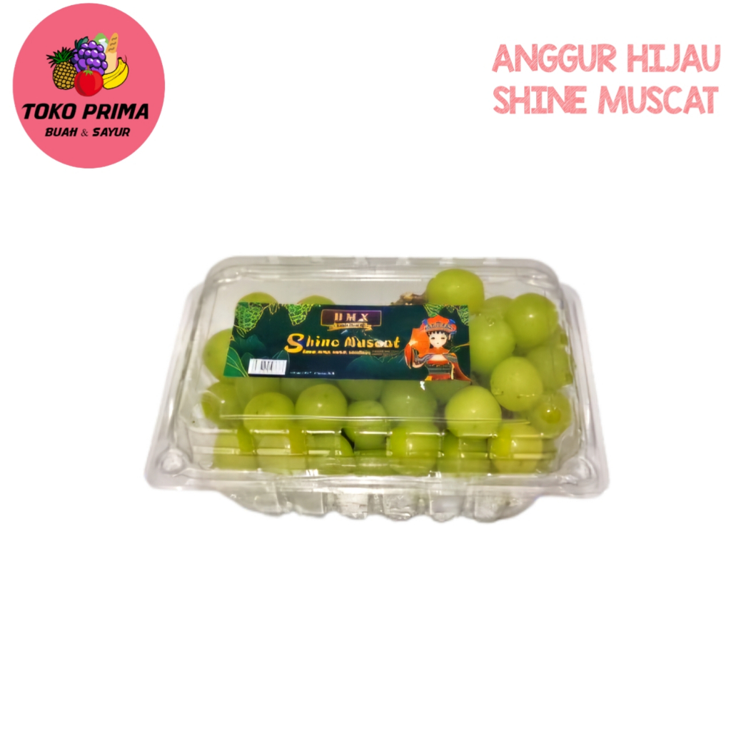 Jual Buah Anggur Hijau Muscat Per Pack | Shopee Indonesia