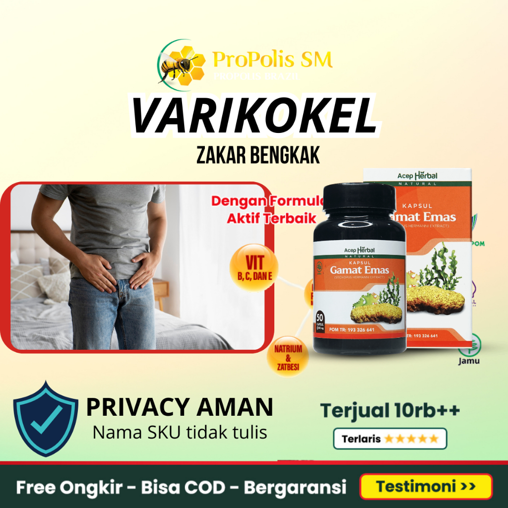 Jual Obat Varikokel Pembangkakan Pembuluh darah Buah Zakar Membantu ...