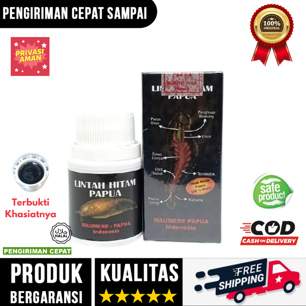 Jual Minyak Lintah Hitam Asli Papua Gold 100% Original 60ml Obat Herbal Oles Murni Minyak Urut ...