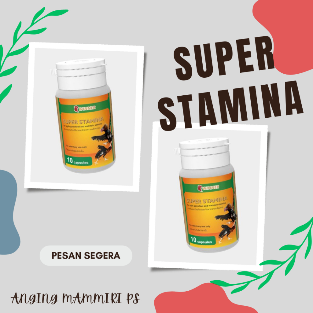 Jual SUPER STAMINA (10 KAPSUL - Menjaga stamina ayam) | Shopee Indonesia