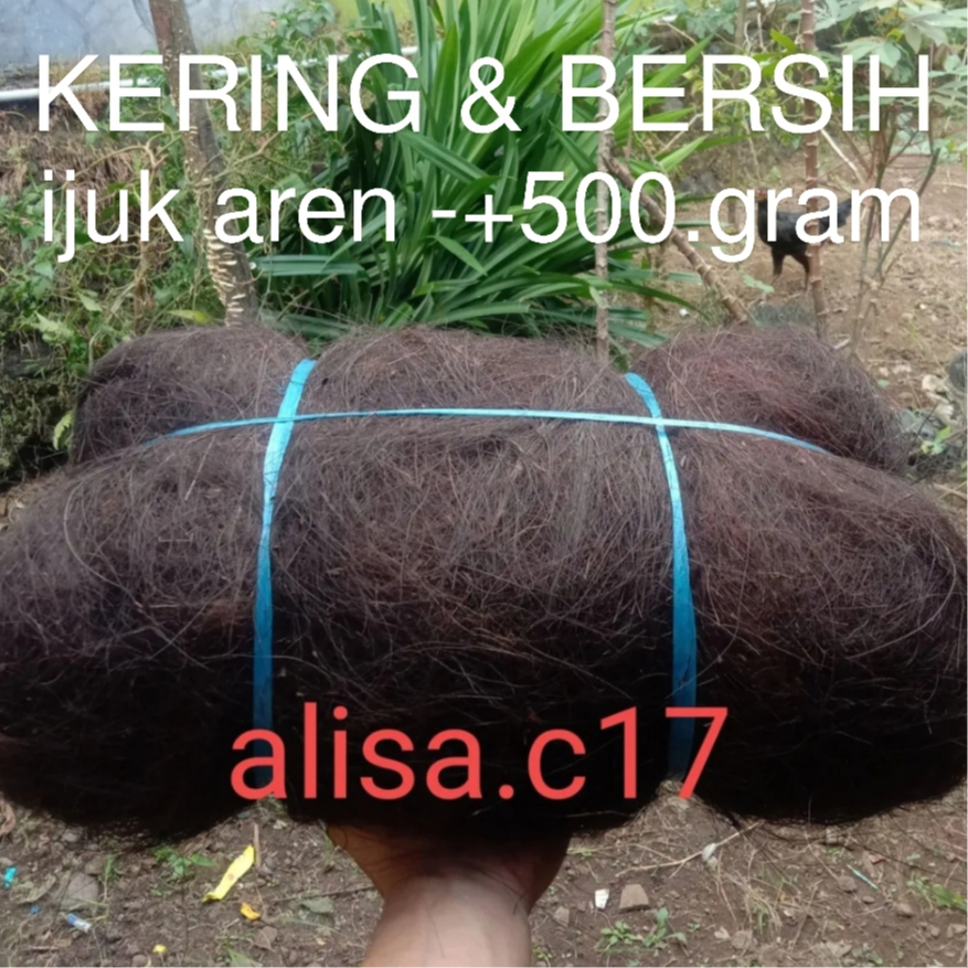 Jual Ijuk Filter Halus Asli Kering Bersih 500 Gram Ijuk Saringan Air ...