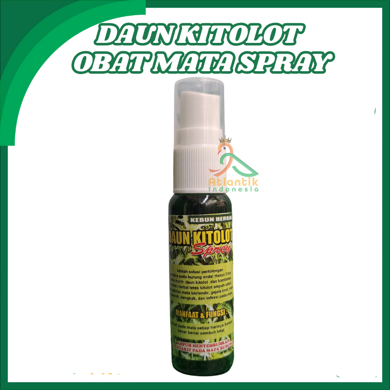Jual BMW Daun Kitolot Spray 30ML Obat Vitamin burung Anti Sakit Mata ...