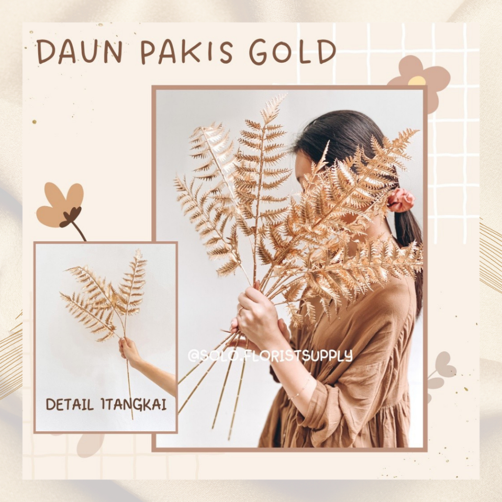 Jual DAUN EMAS PALEM PAKIS FERN DAUN BULAT DAUN RANGKA DAUN MERAK GOLD ...