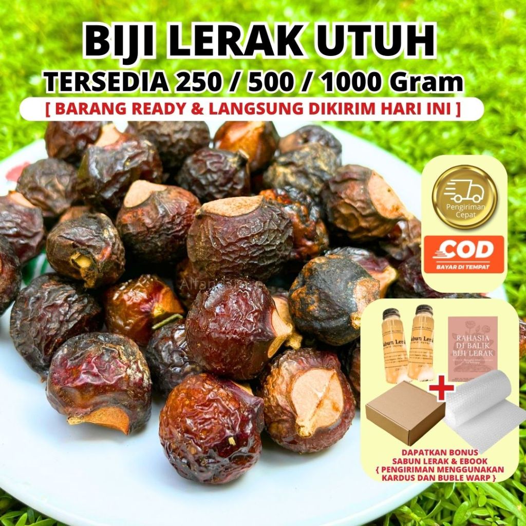 Jual Biji Buah Lerak Klerak Asli 1 kg Detergen Sabun Alami Pencuci ...