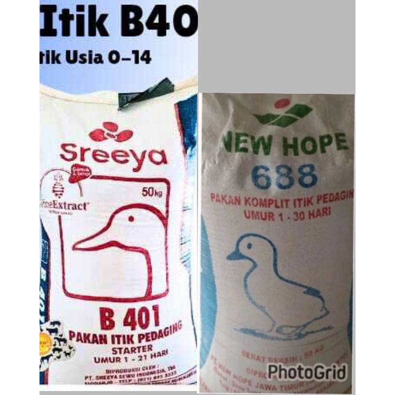 Jual B401&688 Pur pakan itik bebek Entok Pedaging Starter 1kg | Shopee ...