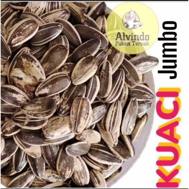 Jual Kuaci Mentah Kuaci Jumbo dan Kuaci besar kemasan 1kg | Shopee ...