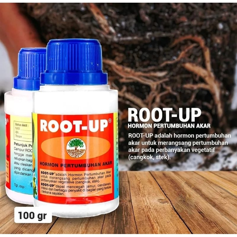 Jual Root Up 100 gram - Root Booster 100 gr - Suplemen Akar Tanaman ...