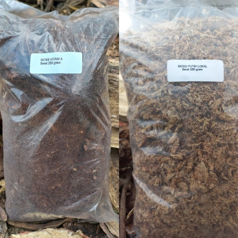 Jual MEDIA TANAM MOSS HITAM AKAR KADAKA, SPHAGNUM MOSS PUTIH UNTUK ...