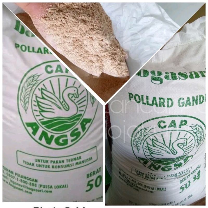 Jual Pollard angsa blgasari polar cap angsa pakan hewan ternak 15 kg ...