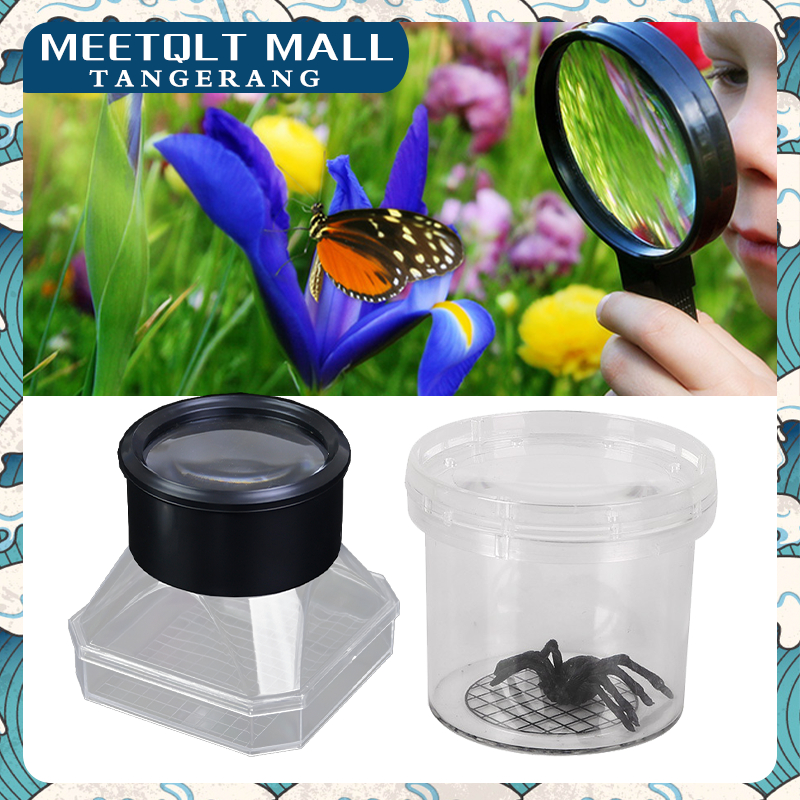 Jual Bug Insect Viewer Multifunctional-Box Bening Untuk Observasi ...