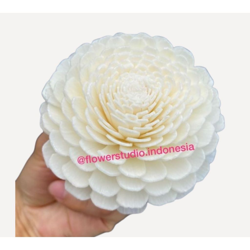 Jual Bunga sola/Rose Flowers 8cm | Shopee Indonesia