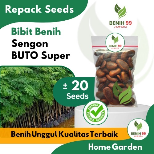 Jual Benih Sengon BUTO Super kemasan repack ± 20 seeds | Shopee Indonesia