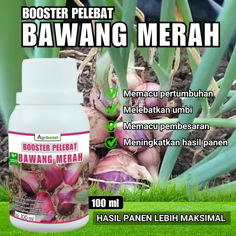 Jual Pupuk Booster Pelebat Organik tanaman Bawang merah 100ml Nutrisi lengkap pelebat & memacu ...