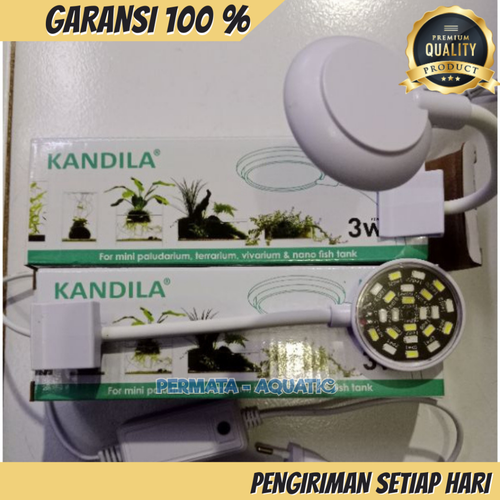 Jual Lampu Jepit Clip LED Mini Warna Puith Biru Bentuk Bulat Untuk Tank ...