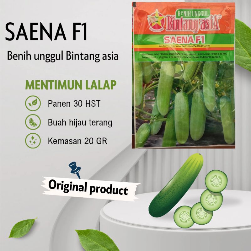 Jual Benih timun Saena f1 Original | Shopee Indonesia
