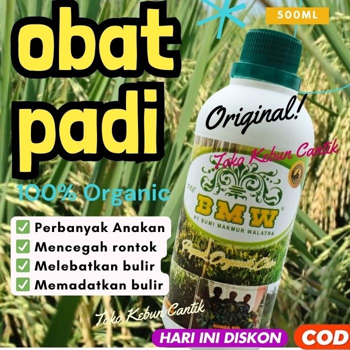 Jual Obat Semprot Padi POC BMW - Menambah Anakan Padi dengan Pupuk Cair ...