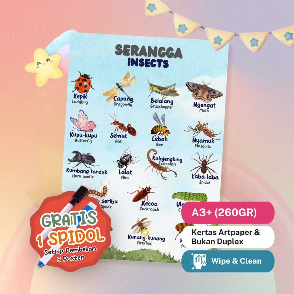 Jual POSTER LAMINASI Serangga / Poster Hewan / Poster Animal | Poster ...