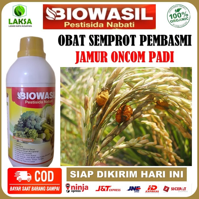 Jual Pestisida Nabati BIOWASIL Obat Hama Jamur Oncom Padi - Obat ...