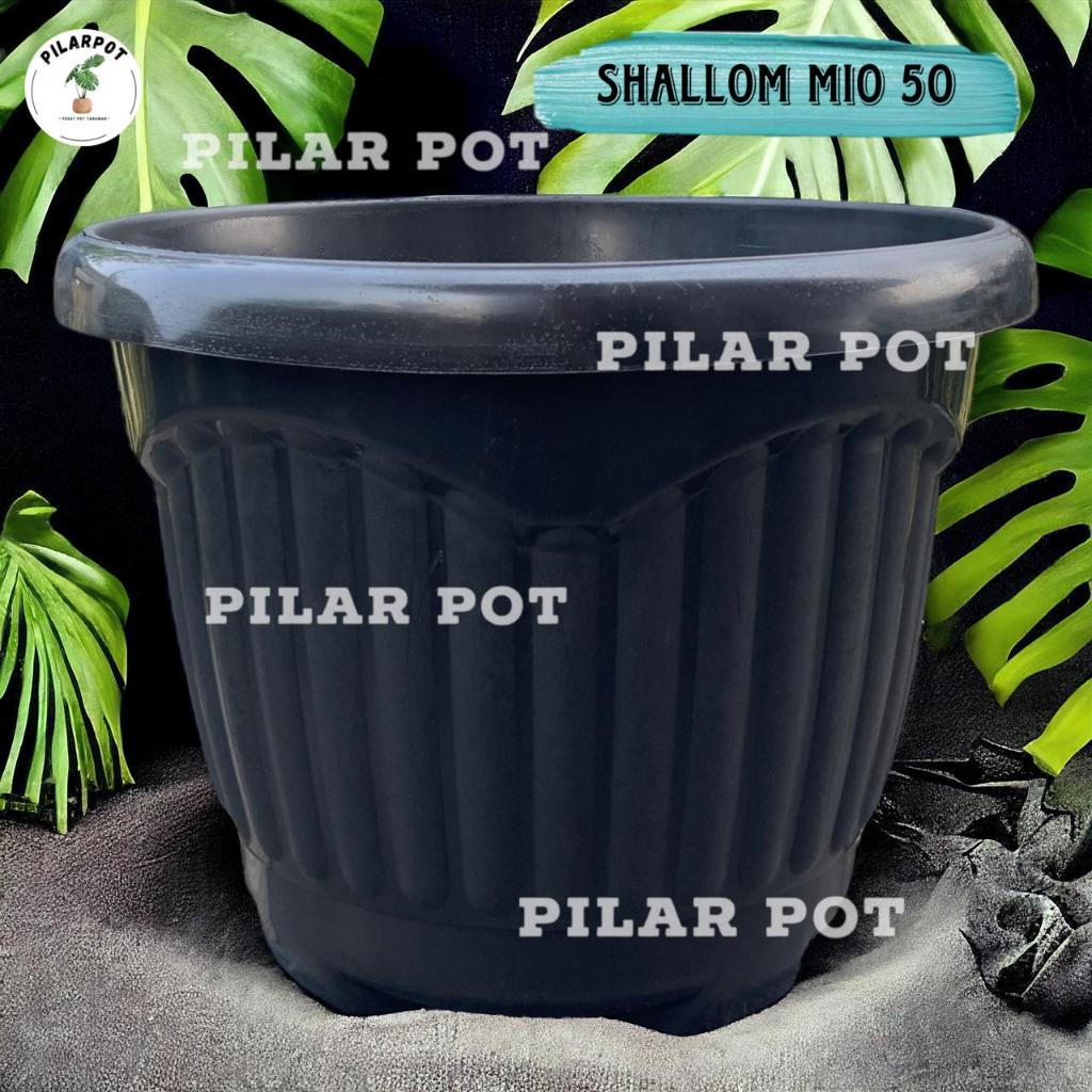 Jual pot bunga tanaman shallom Mio 50 hitam - JUMBO MIO 50 HITAM ...