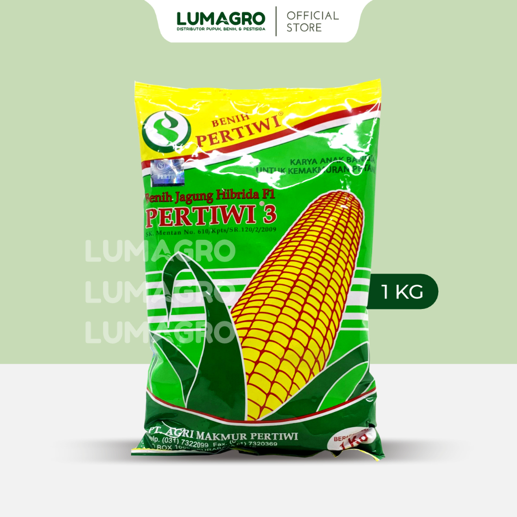 Jual Benih Jagung Hibrida Pertiwi 3 1kg Bibit Tahan Penyakit Bulai ...