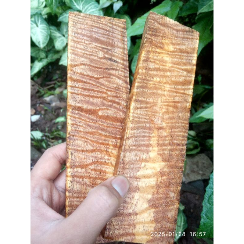 Jual kayu Curly atau keriting mangga hutan ukuran 20x5x1cm (per papan ...