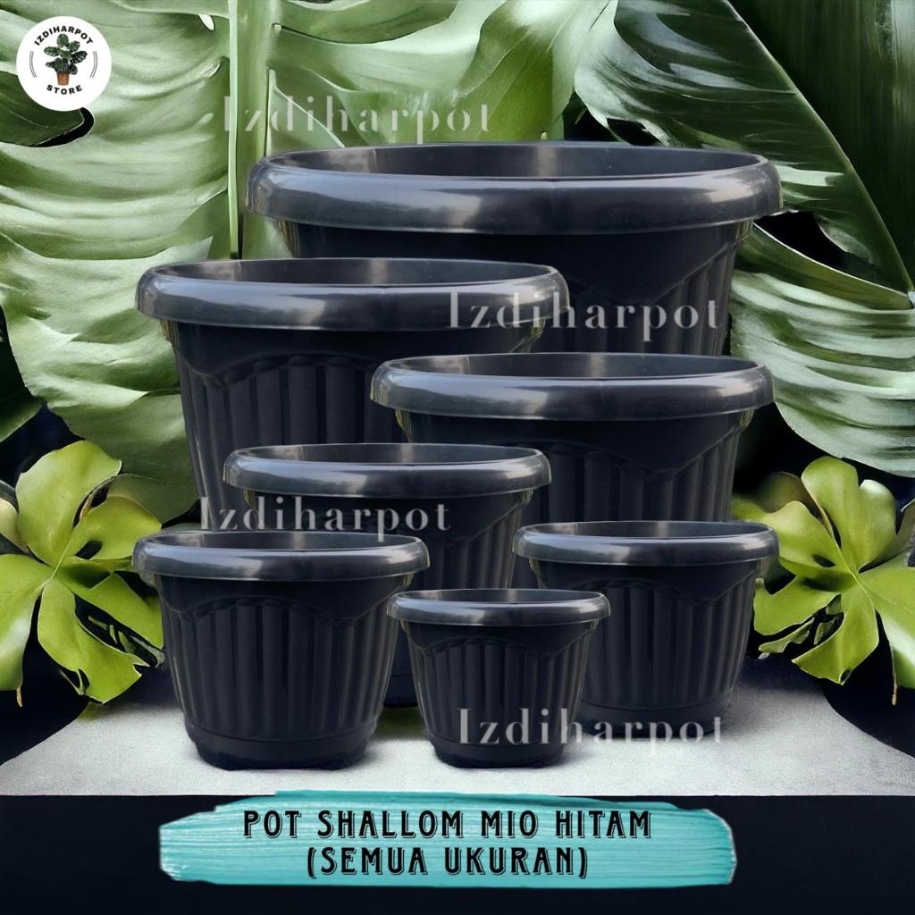 Jual POT BUNGA TANAMAN SHALLOM MIO HITAM KUPING BAHAN TEBAL - SHALLOM ...