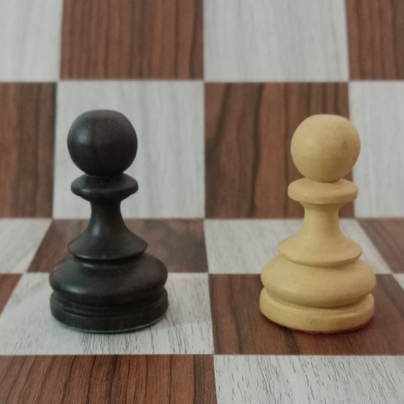 Jual Chess pawn pieces pion catur eceran tipe Patria bahan kayu sawo ...