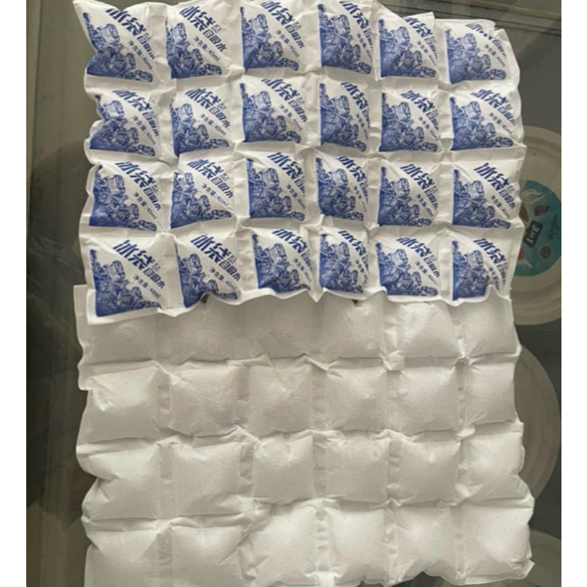 Jual Ice gel / ice pack / dry es / es batu kering isi 24 sel | Shopee ...